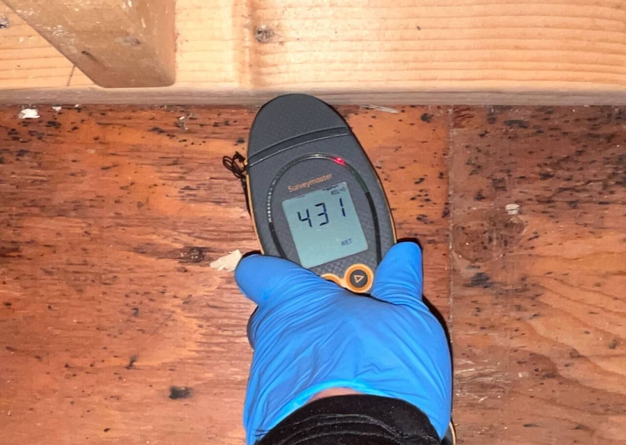 How Mold Can Affect Your New Home: The Dark Side of Winter Construction ...